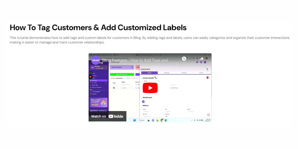 How to Tag Customers & Add Customized Labels in Bling